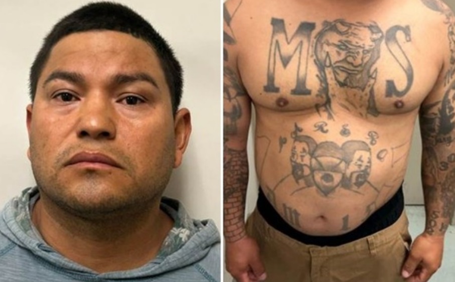 Another MS-13 Gang Member Arrested in Maryland - WCBM News-Talk Radio